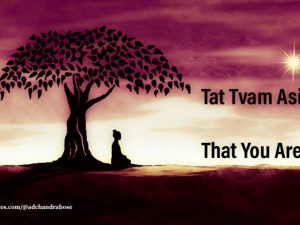 Tatvamasi (Tat Tvam Asi): Mahavakya Meaning - TheMeditationGuides